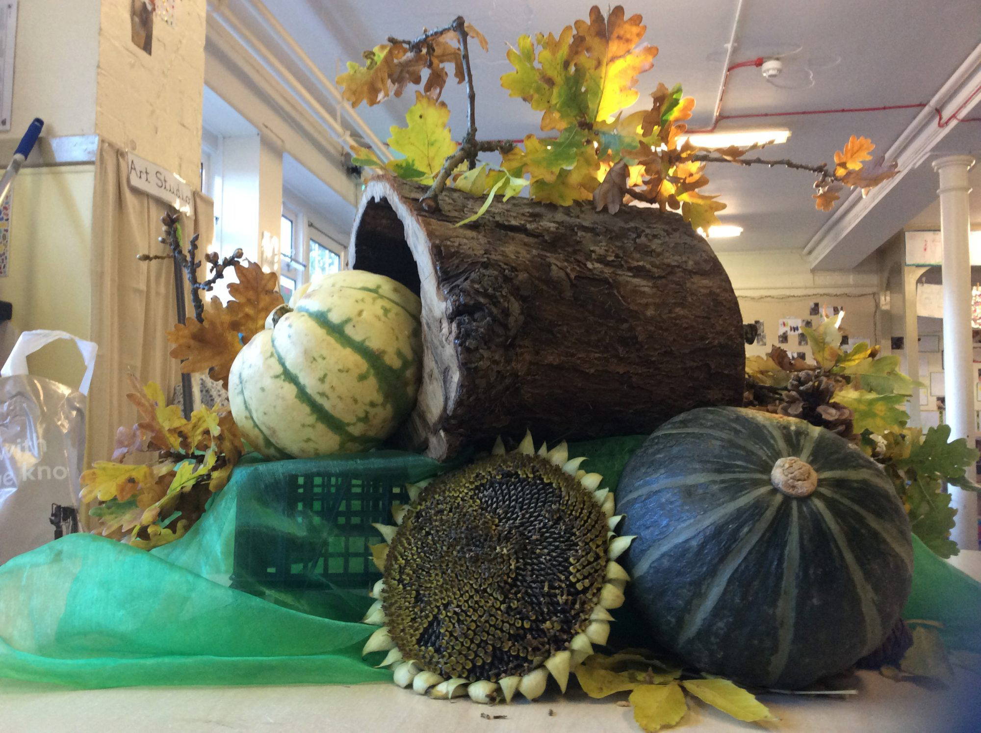Autumn Observational Art – Tiverton Academy