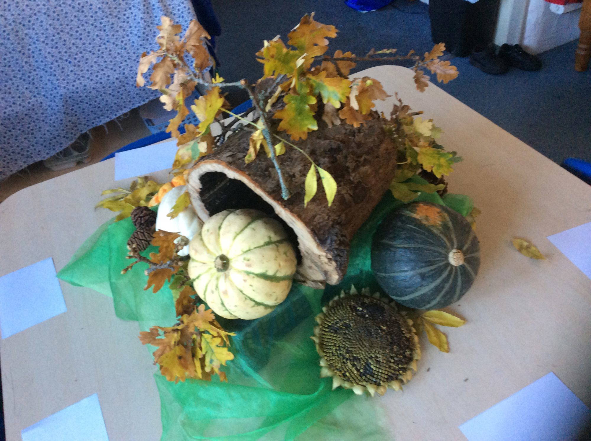 Autumn Observational Art – Tiverton Academy