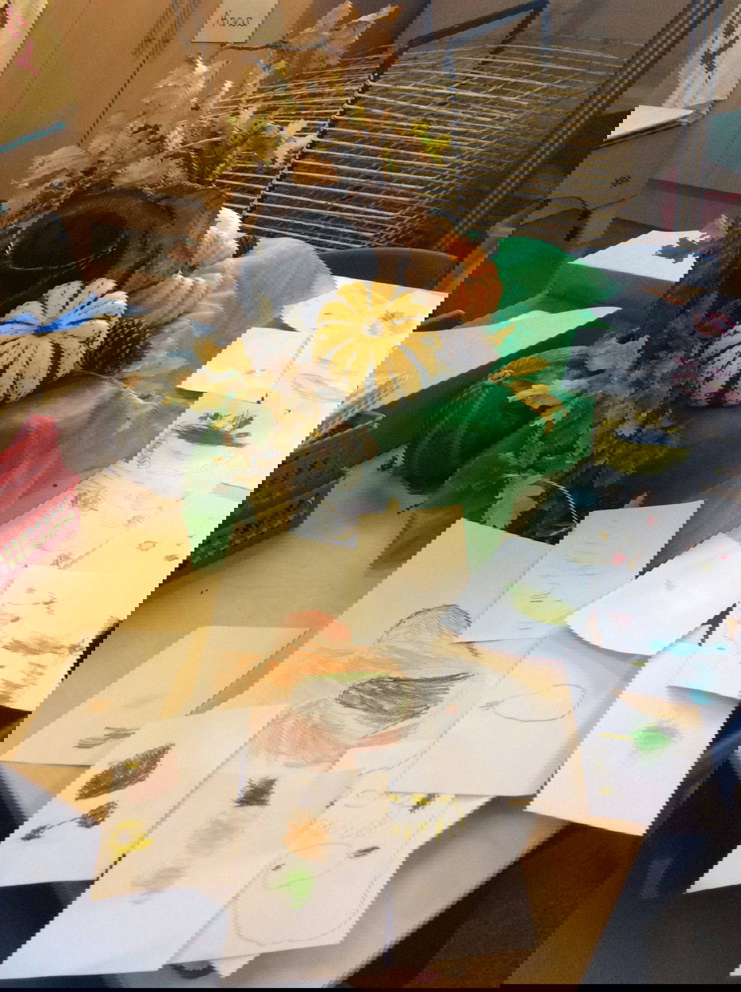 Autumn Observational Art – Tiverton Academy