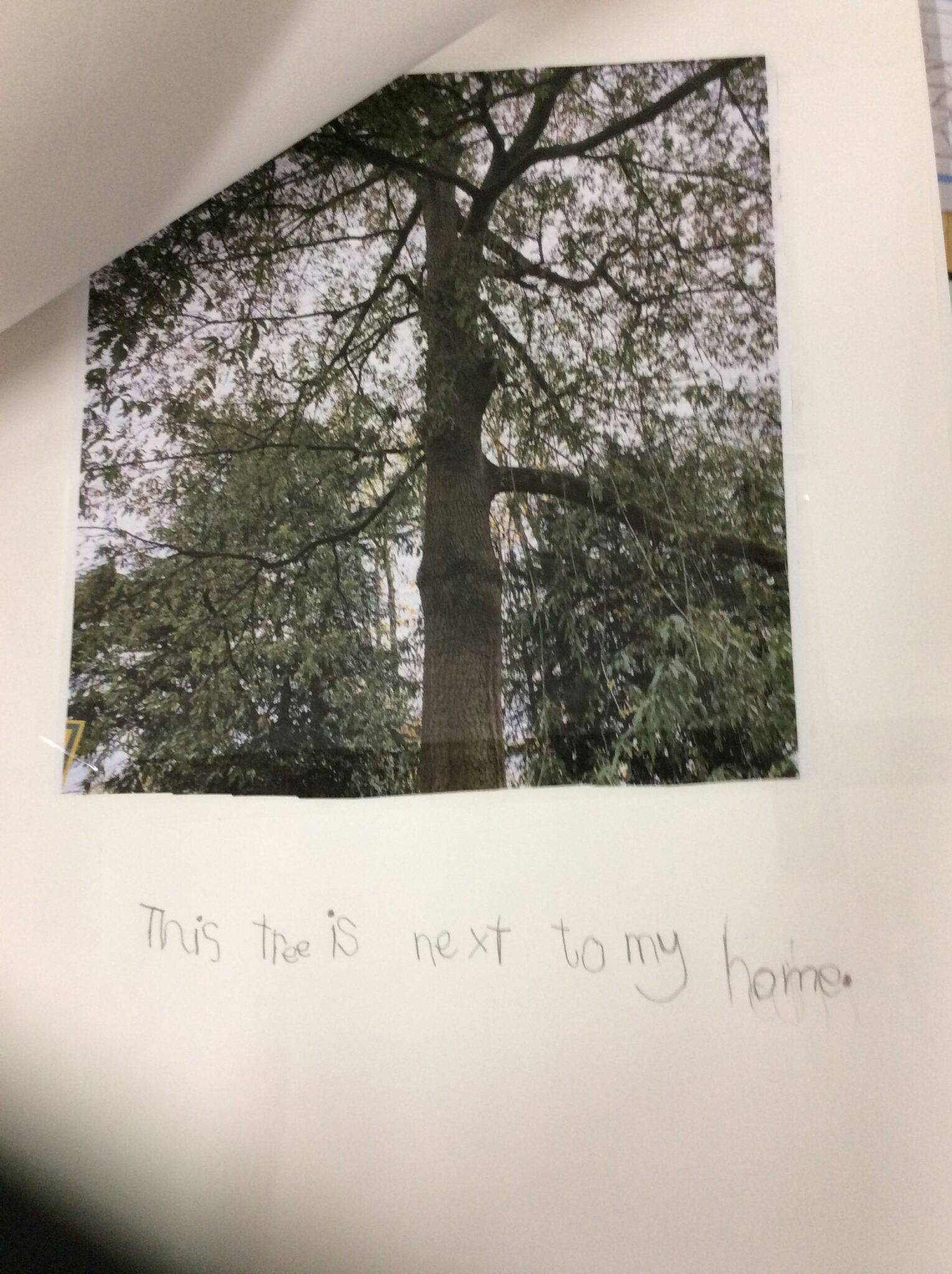 Year 1’s Half Term Homework – Our World – Tiverton Academy