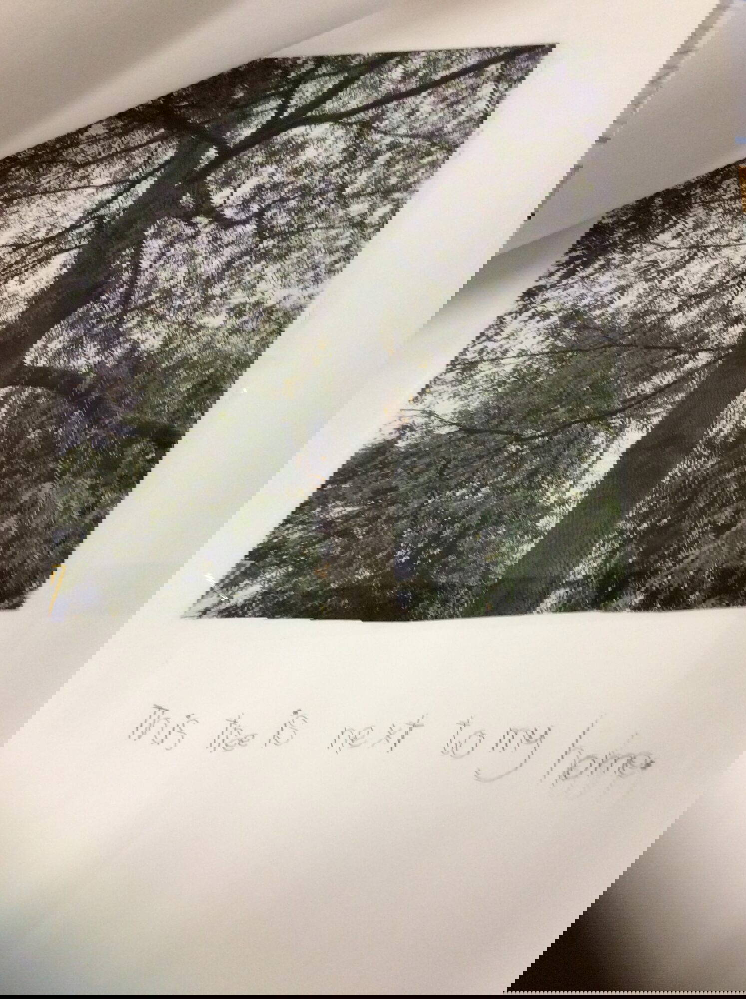 Year 1’s Half Term Homework – Our World – Tiverton Academy