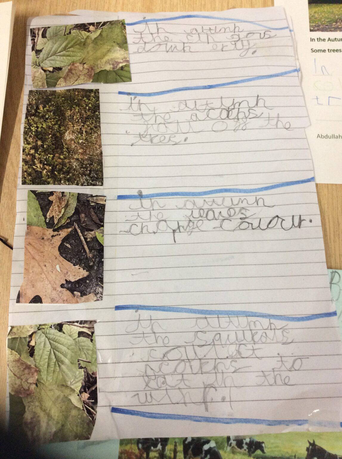 Year 1’s Half Term Homework – Our World – Tiverton Academy