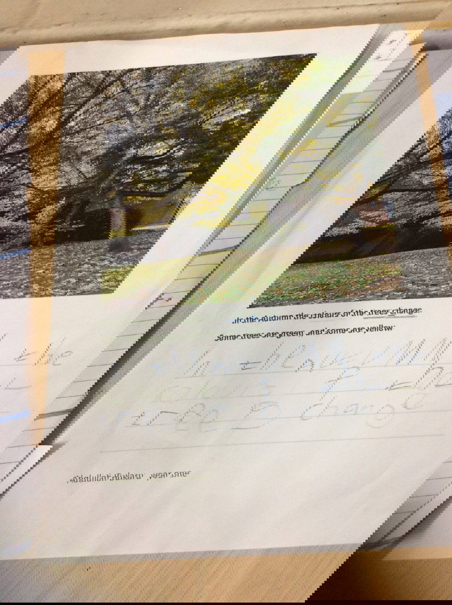 Year 1’s Half Term Homework – Our World – Tiverton Academy