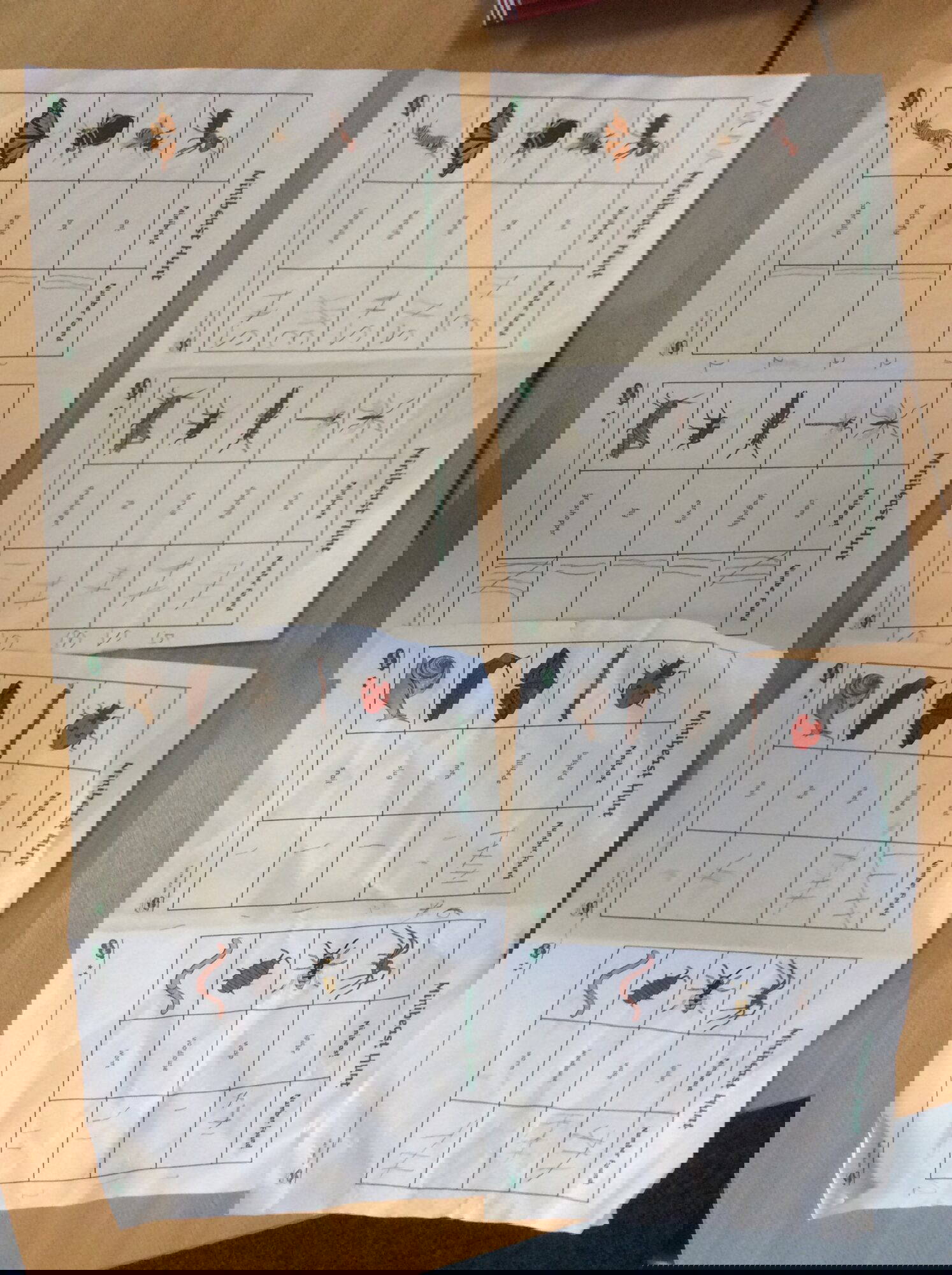 Pictograms – Tiverton Academy